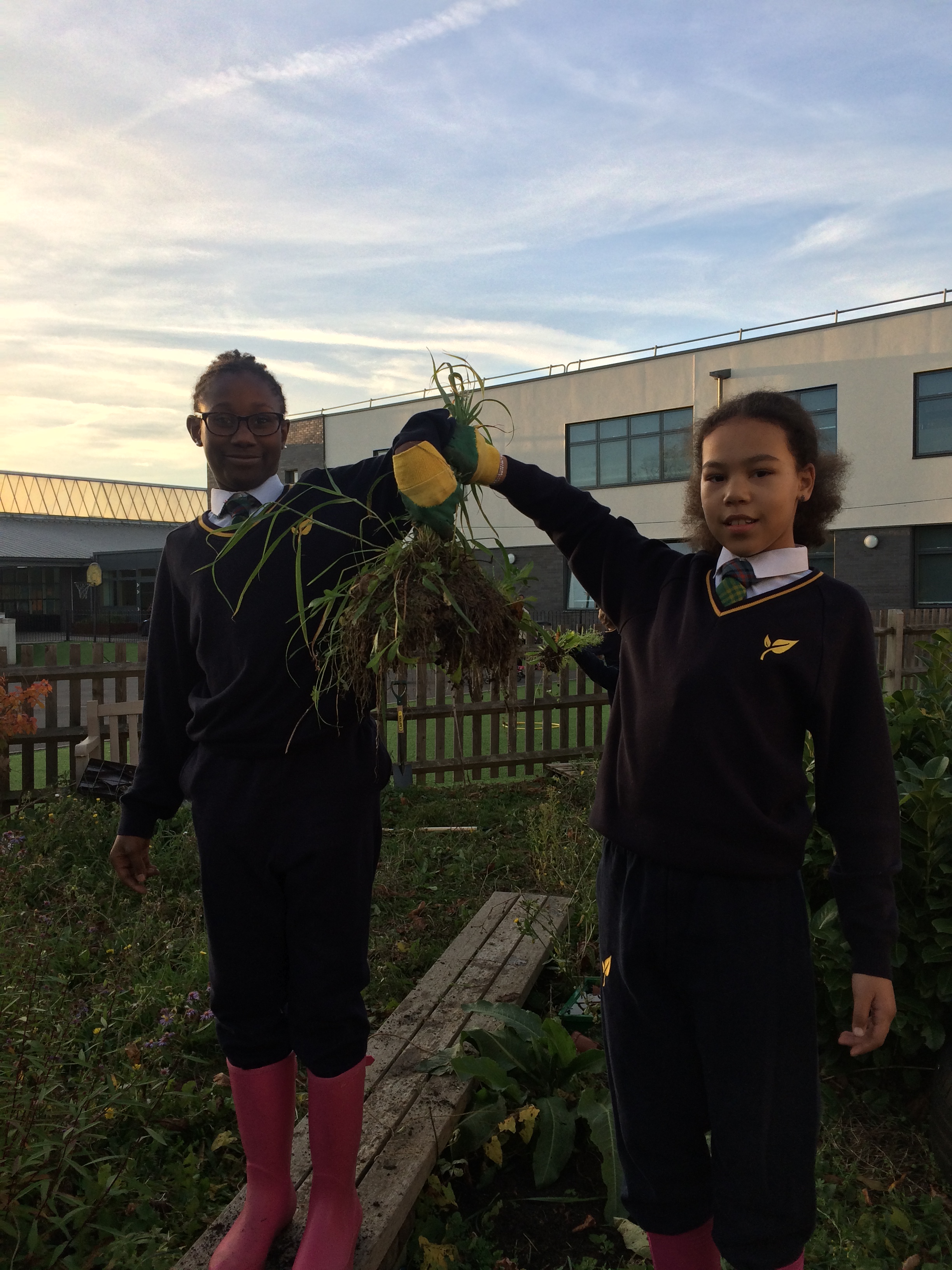 IMG_3435 – Heavers Farm Primary School